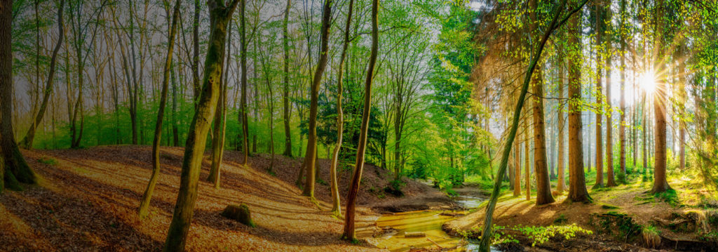 The James Agency | Hattiesburg Mississippi Insurance Provider